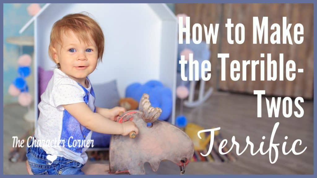 How to Make The Terrible Twos Terrific - The Character Corner
